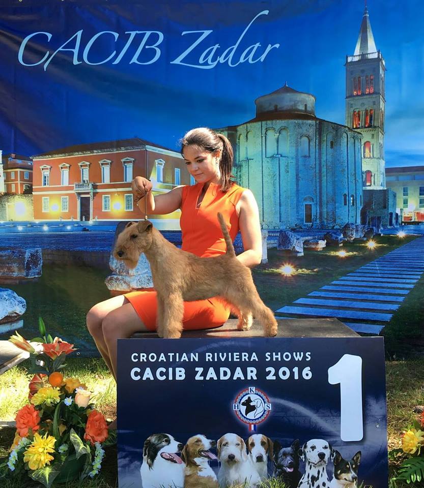 lindabinda – Allevamento Slicey